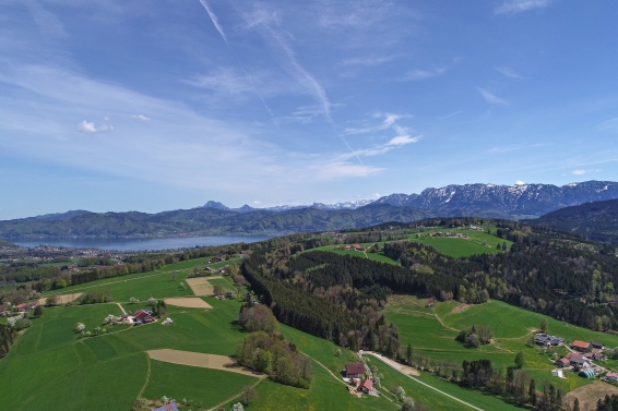 Immobilien in Straß im Attergau/Salzkammergut - Finest Homes
