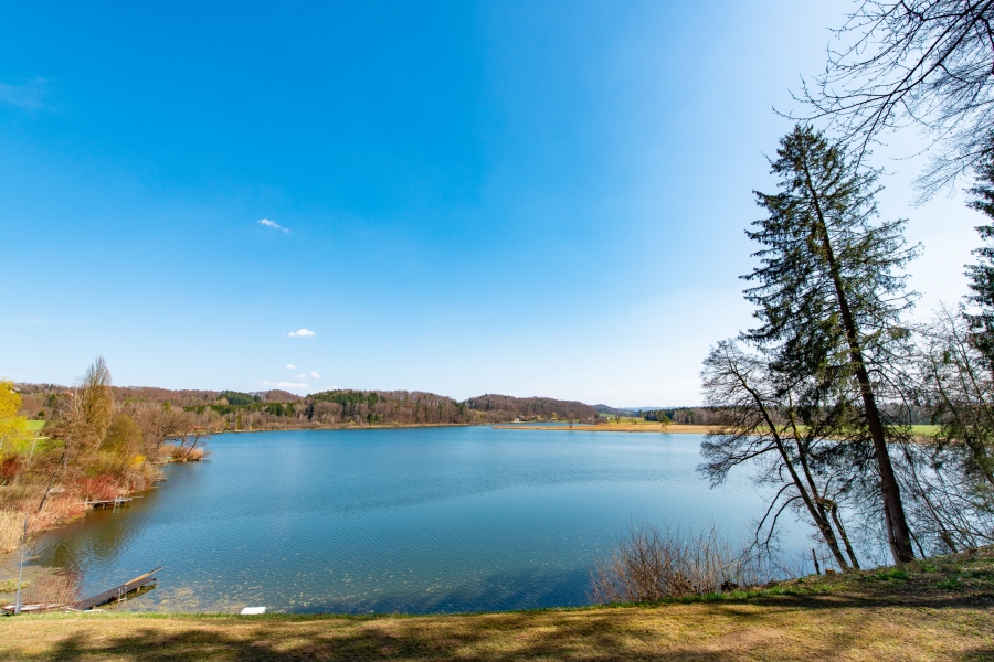 Ibmer Moor - Salzburg Stadt und Umgebung - Finest Homes